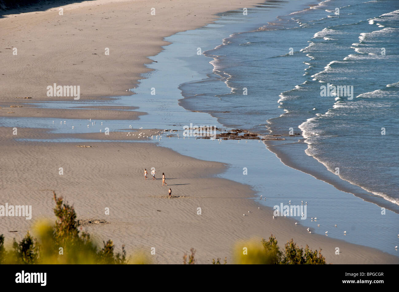 Portland victoria beach hi-res stock photography and images - Alamy