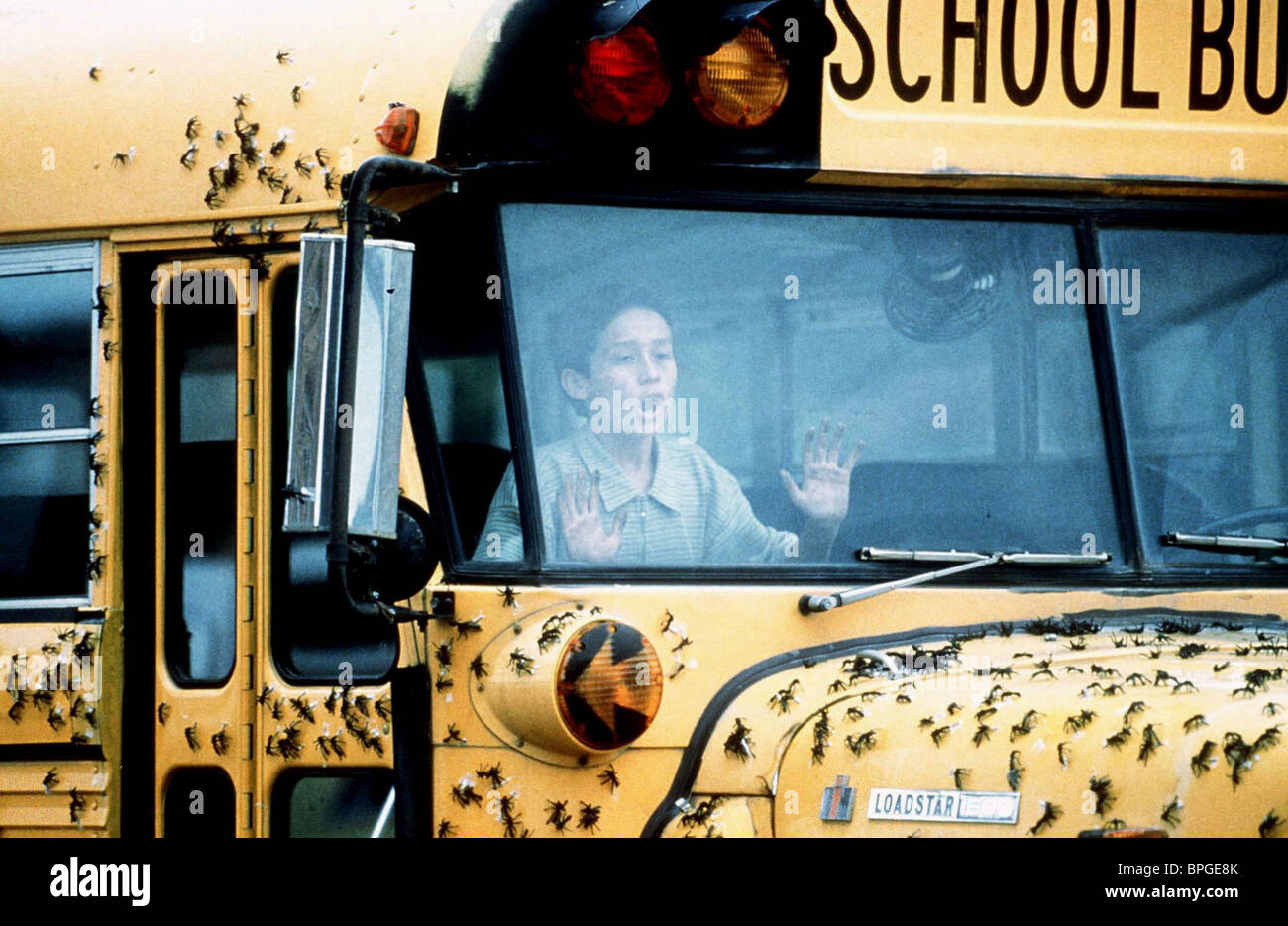 Marabunta High Resolution Stock Photography and Images - Alamy