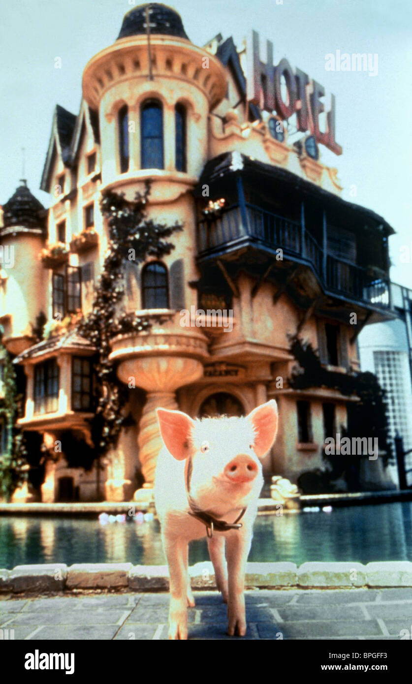 Pig In The City, Babe High Resolution Stock Photography and Images - Alamy