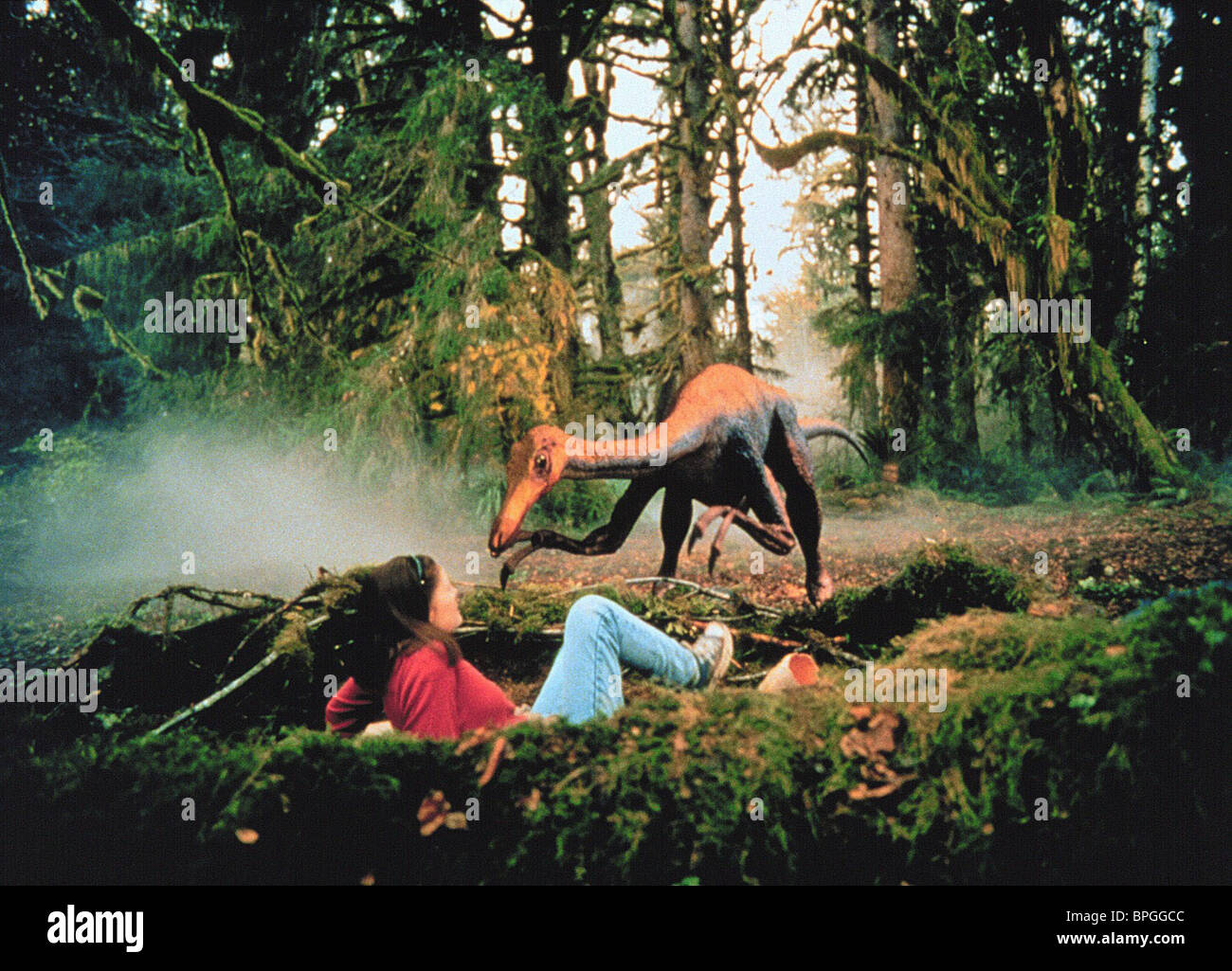 Back To The Cretaceous Liz Strauber 1998 High Resolution Stock ...