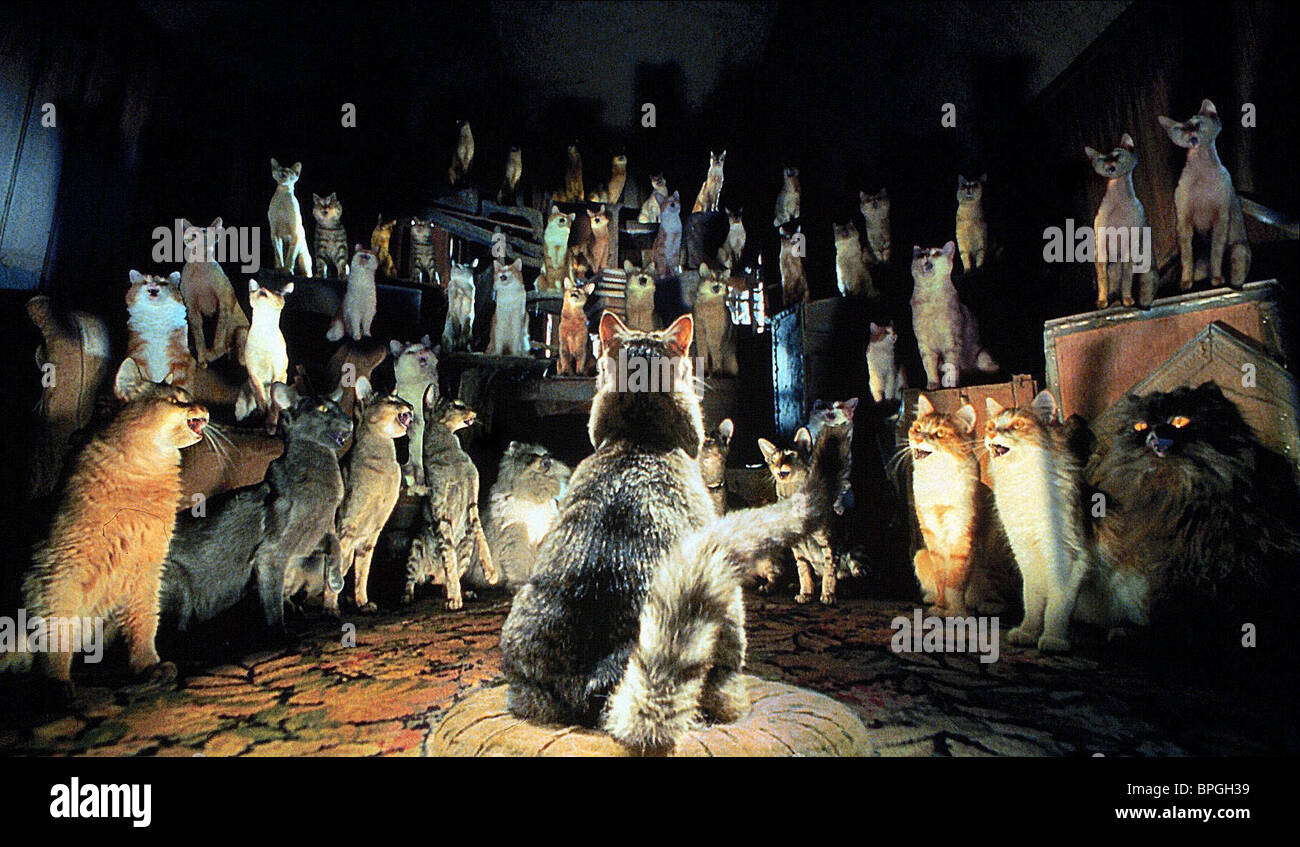 Pig In The City Babe The Pig 1998 High Resolution Stock Photography and ...