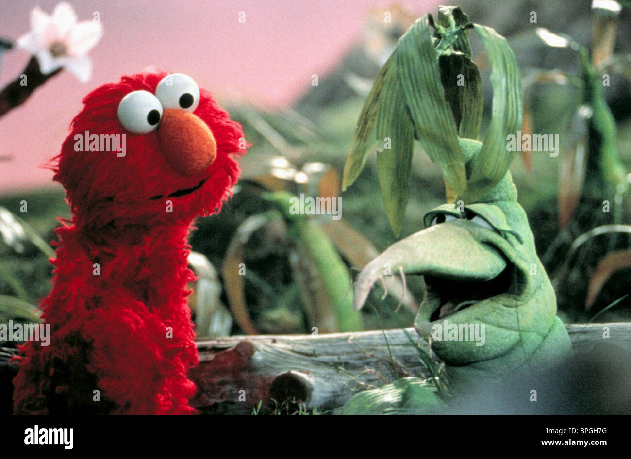 Adventures Of Elmo In Grouchland High Resolution Stock Photography and ...