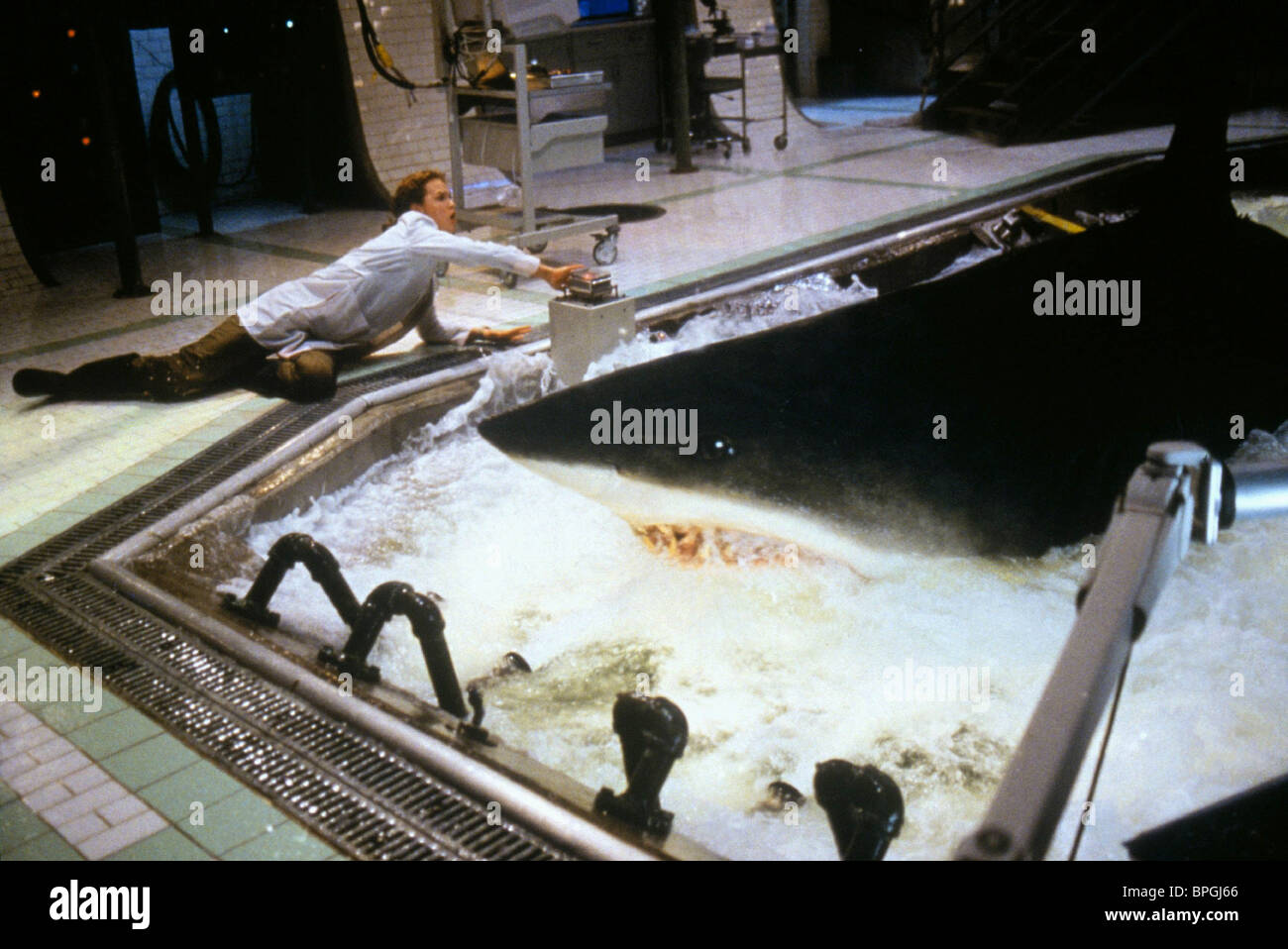 Saffron Burrows Shark Deep Blue High Resolution Stock Photography and ...
