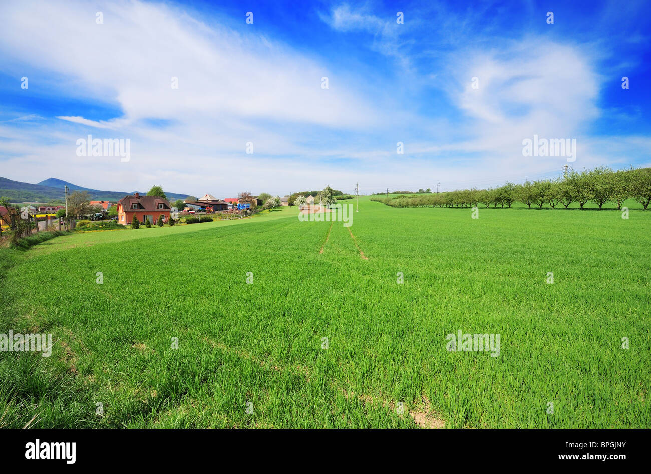 Countryside in spring, Czech Republic Stock Photo - Alamy