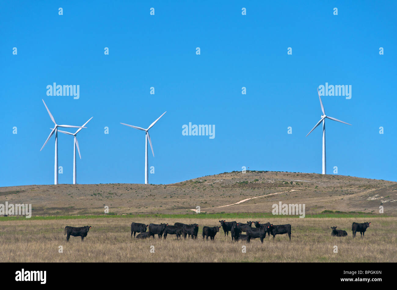 Wind farm victoria australia hi-res stock photography and images - Alamy