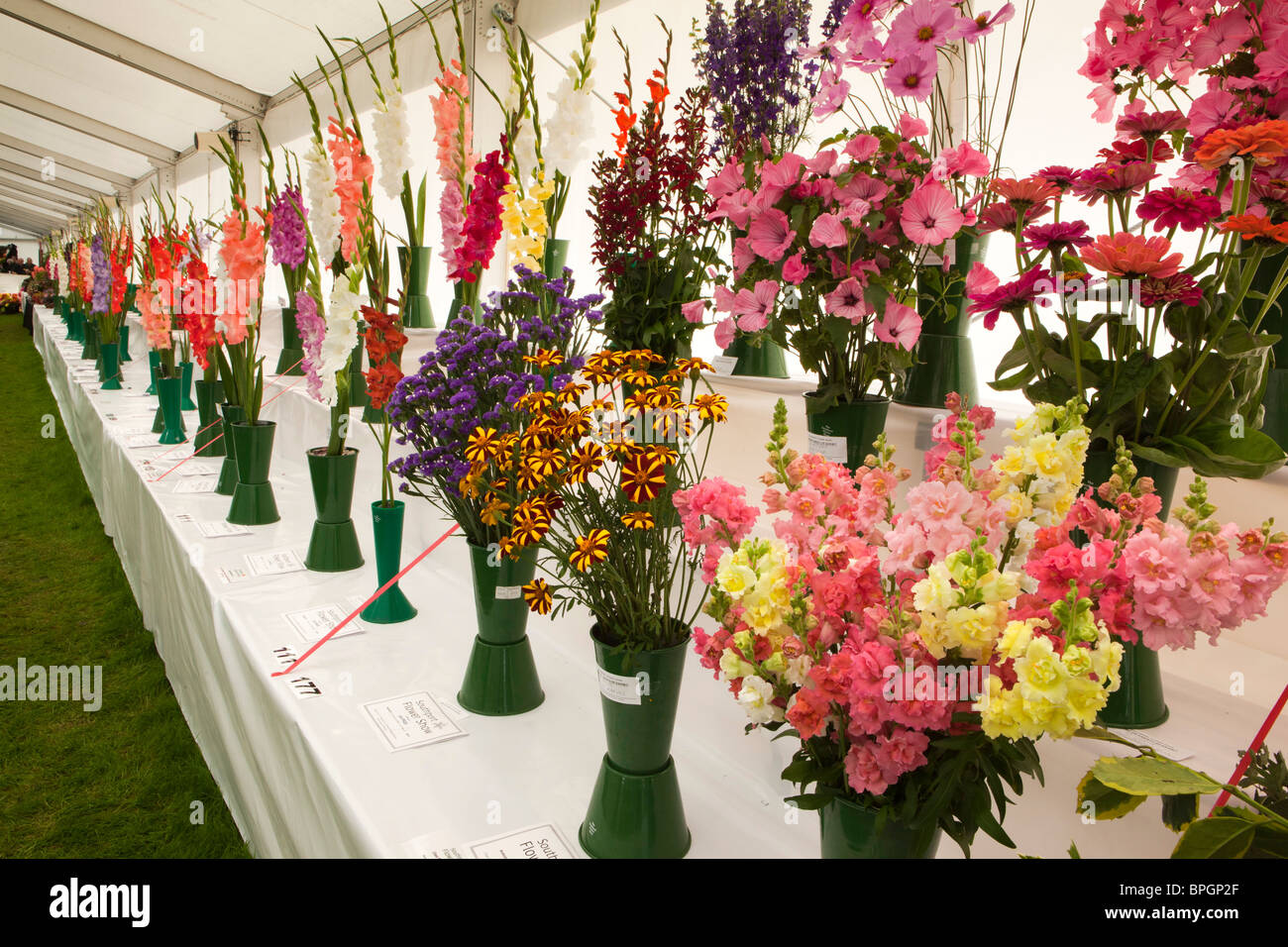 Prizewinning winning entry hi-res stock photography and images - Alamy