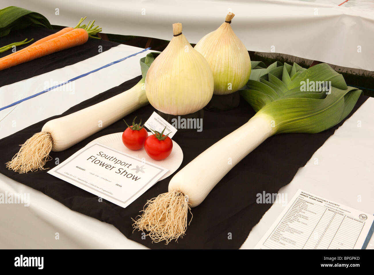 Vegetable garden growing leeks uk hi-res stock photography and images ...