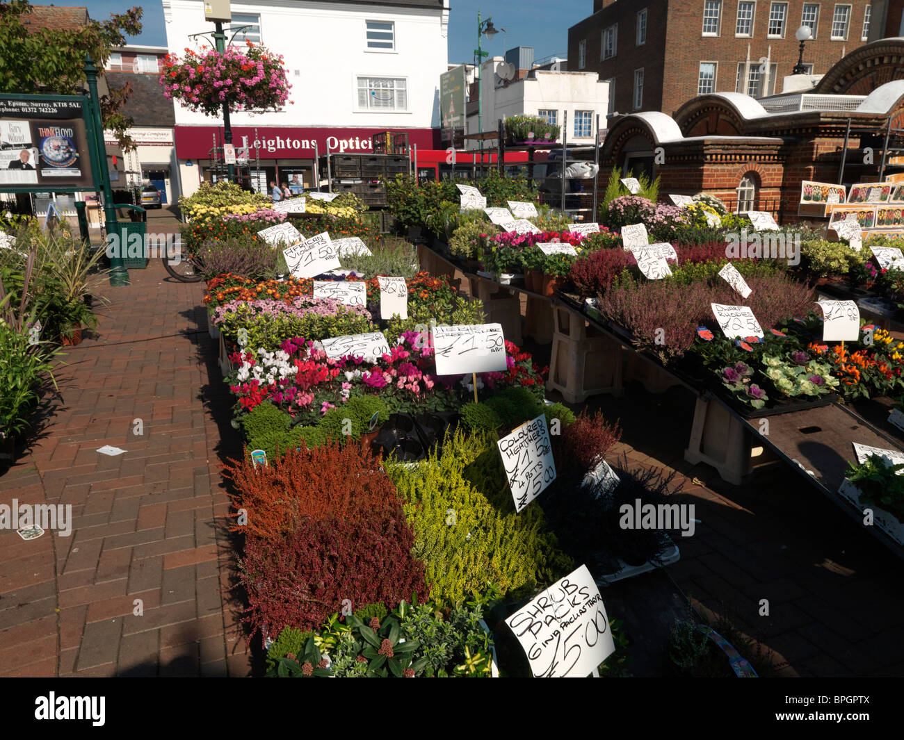 Epsom market hi-res stock photography and images - Alamy