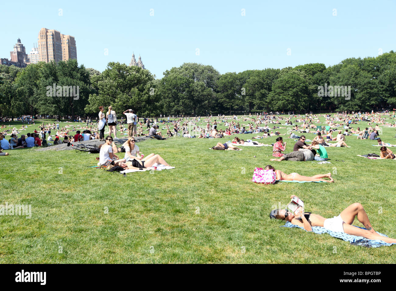 Central Park Summertime
