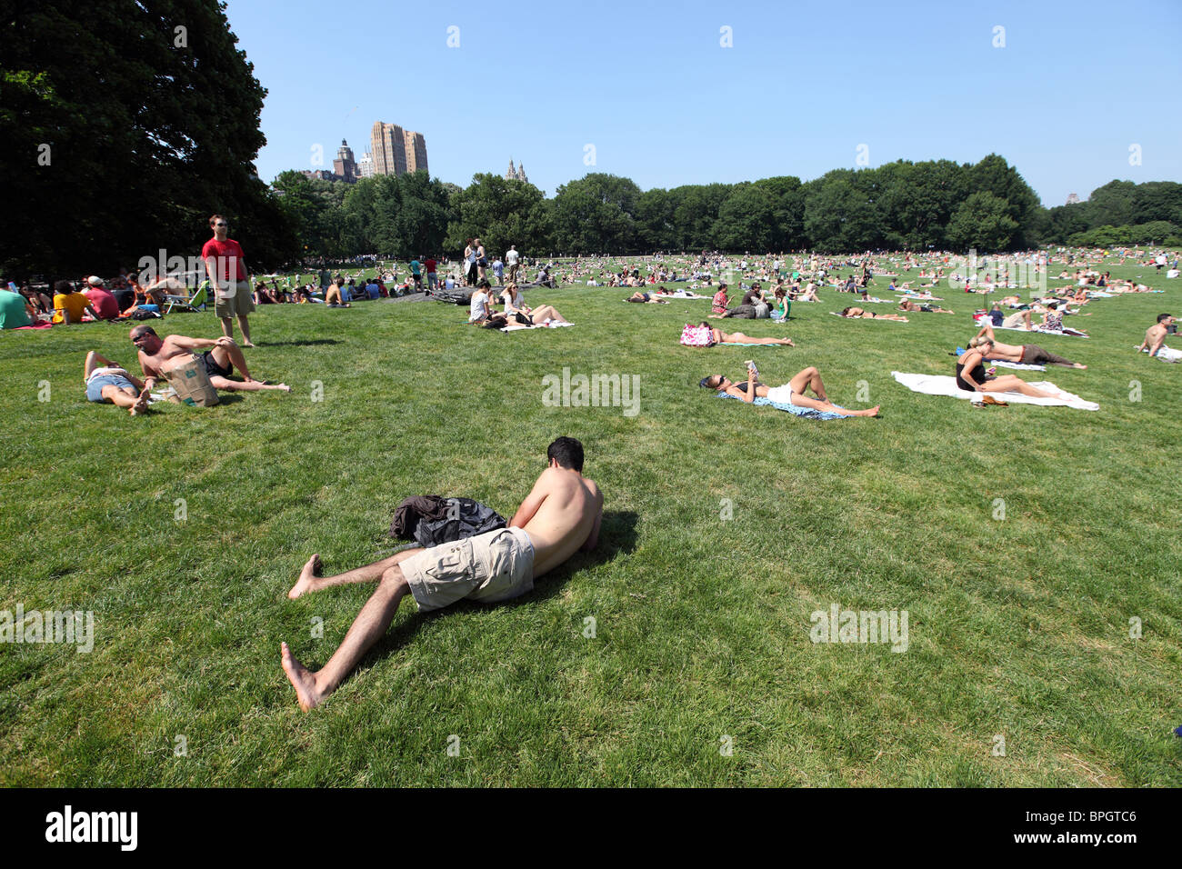 Sunbathing in central park new hi-res stock photography and images - Alamy