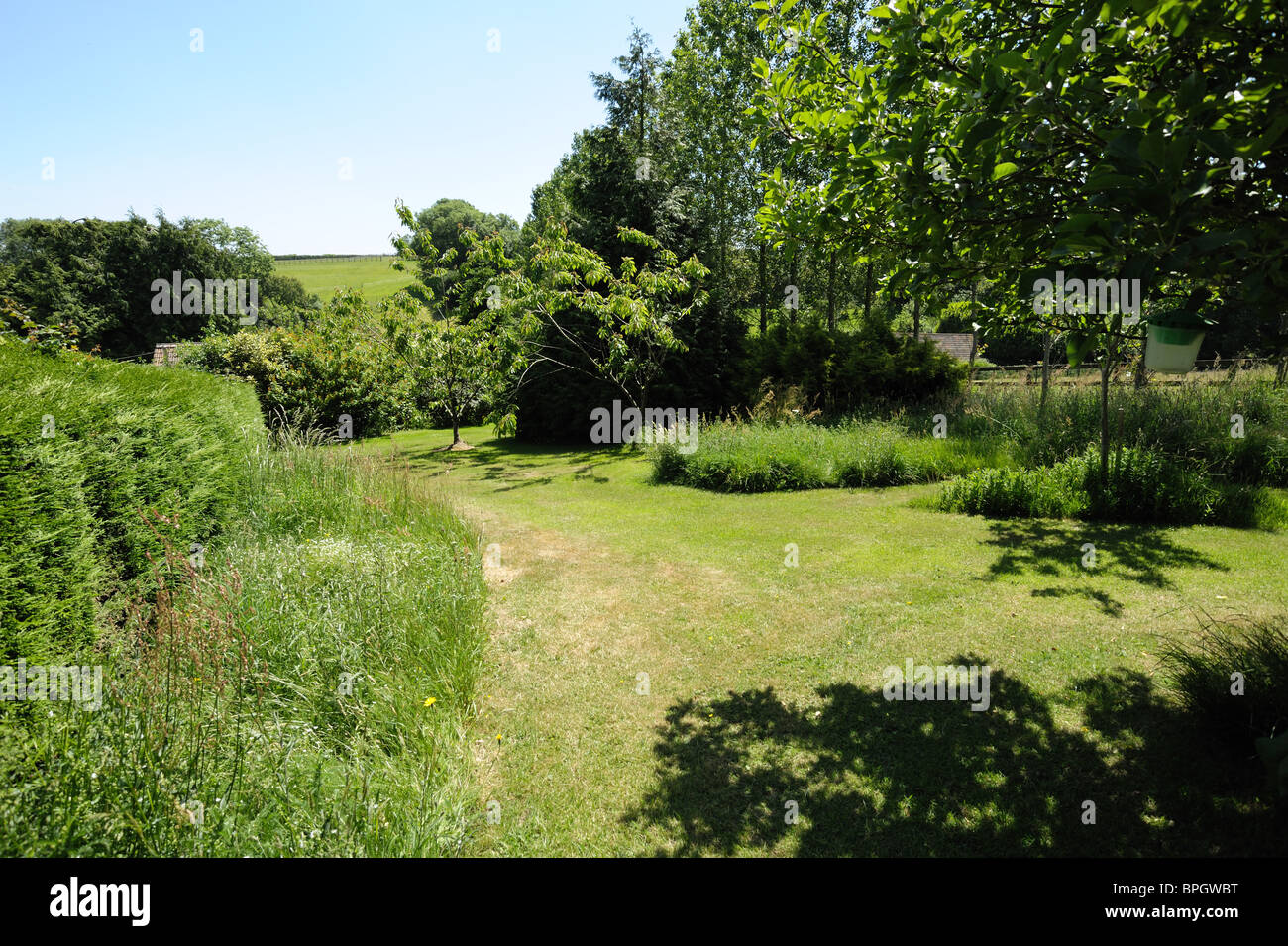 Long grass hi-res stock photography and images - Alamy