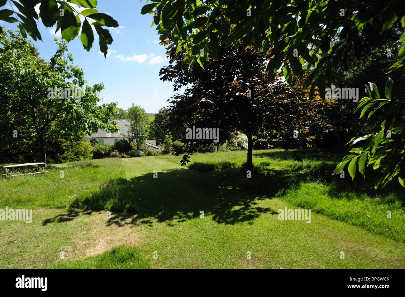 Lawn paths cut through long grass to encourage wildlife and pest ...