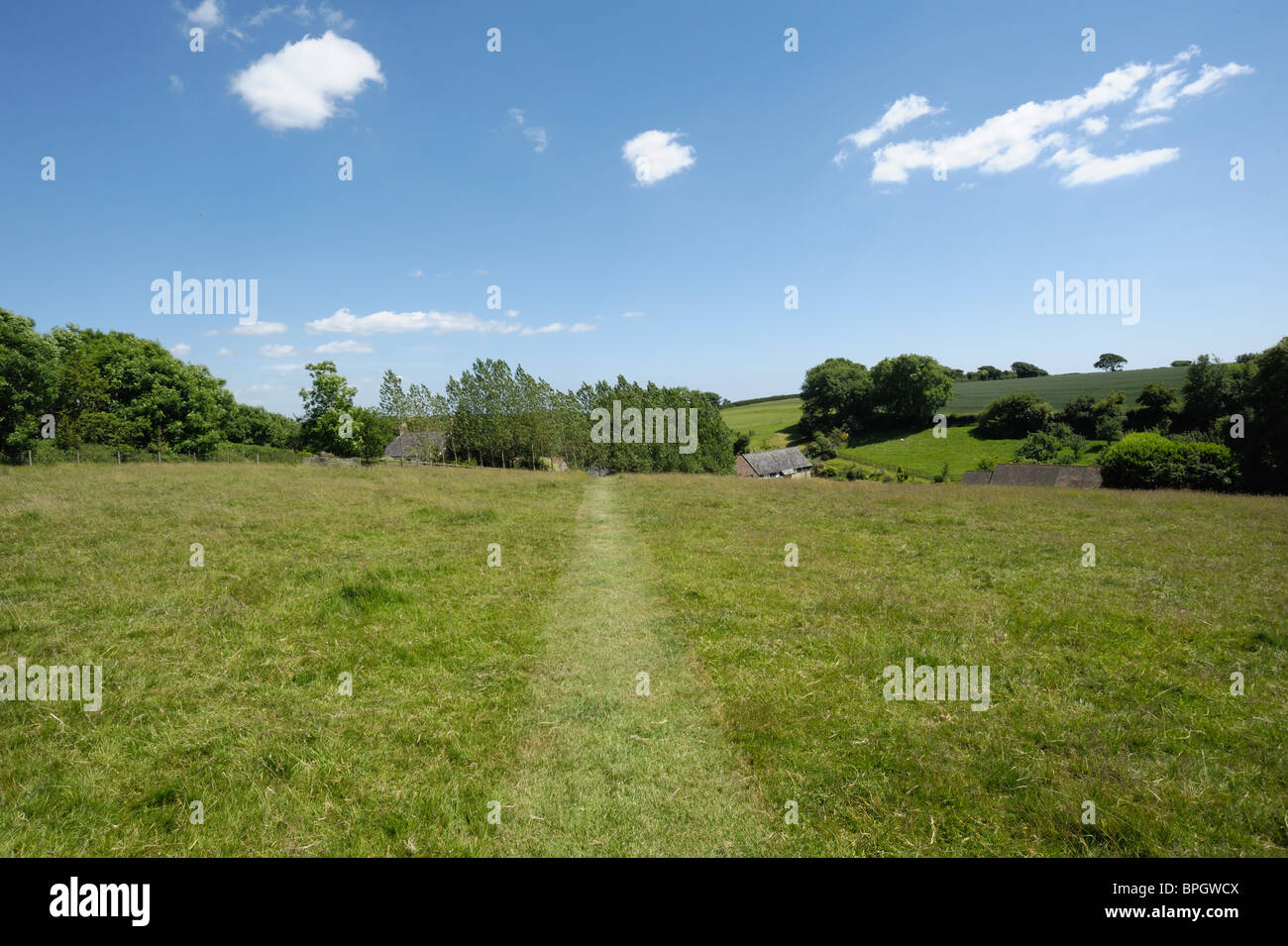 Rough grazed pasture with a path cut through it, fine summer day in ...