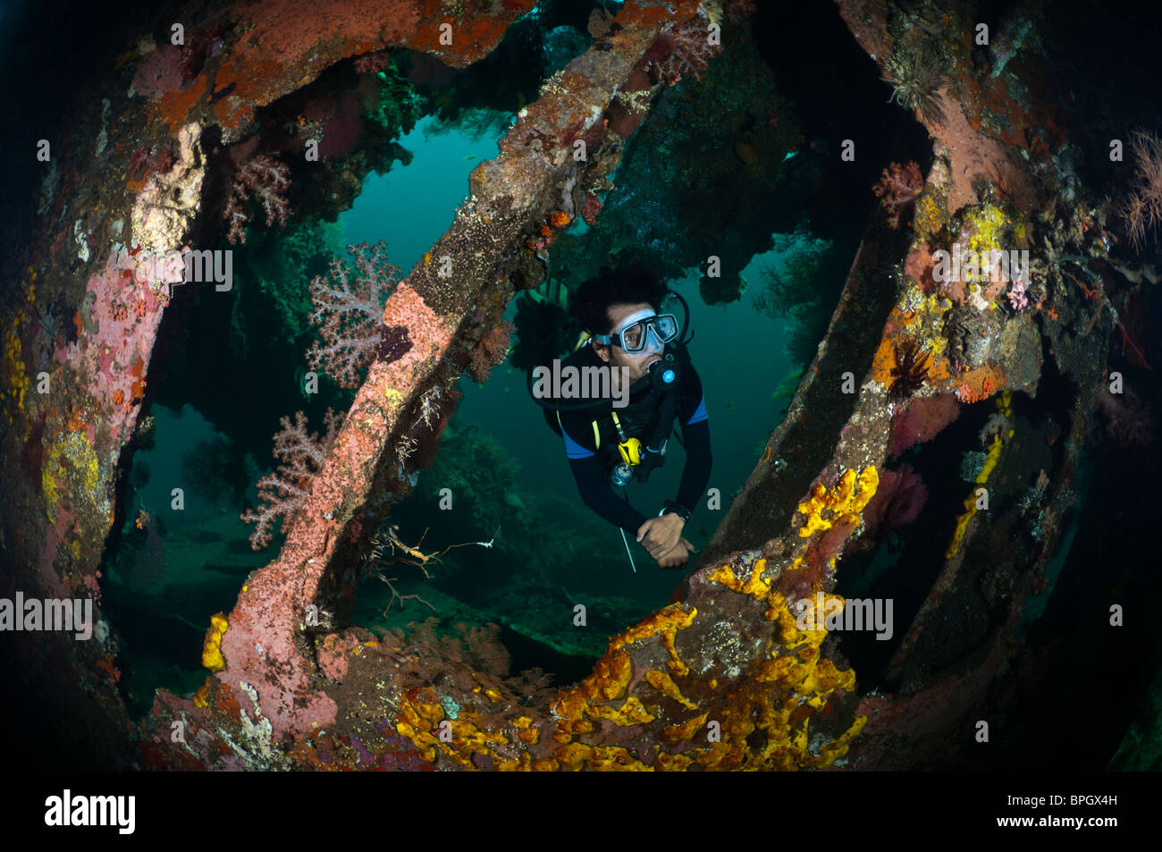 A diver exploring the wreck of the USAT Liberty, Tulamben, Bali ...