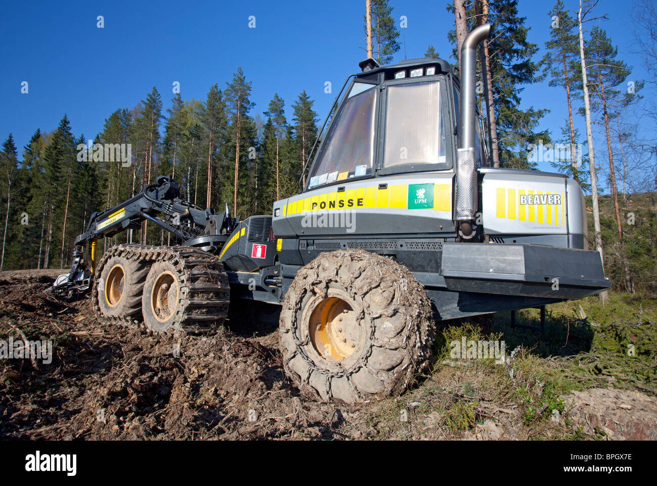 Ponsse Beaver forest harvester at clear-cutting site , Finland Stock ...
