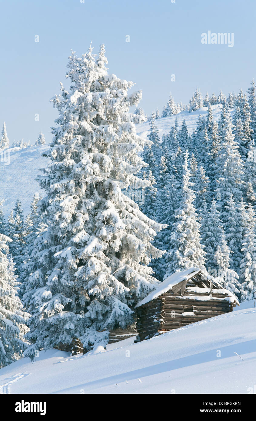 winter calm mountain landscape with shed (Kukol Mount, Carpathian ...