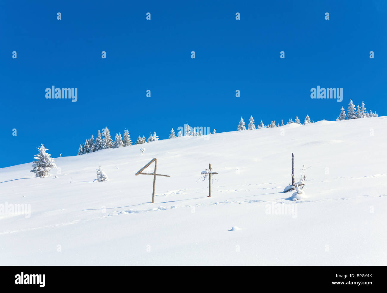 winter snowy fir trees on mountainside on blue sky background and ...