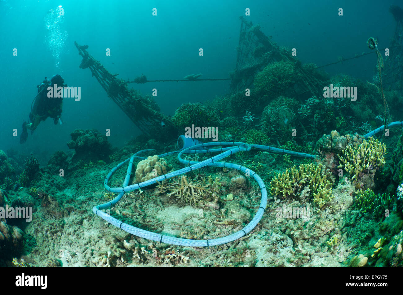Biorock High Resolution Stock Photography and Images - Alamy