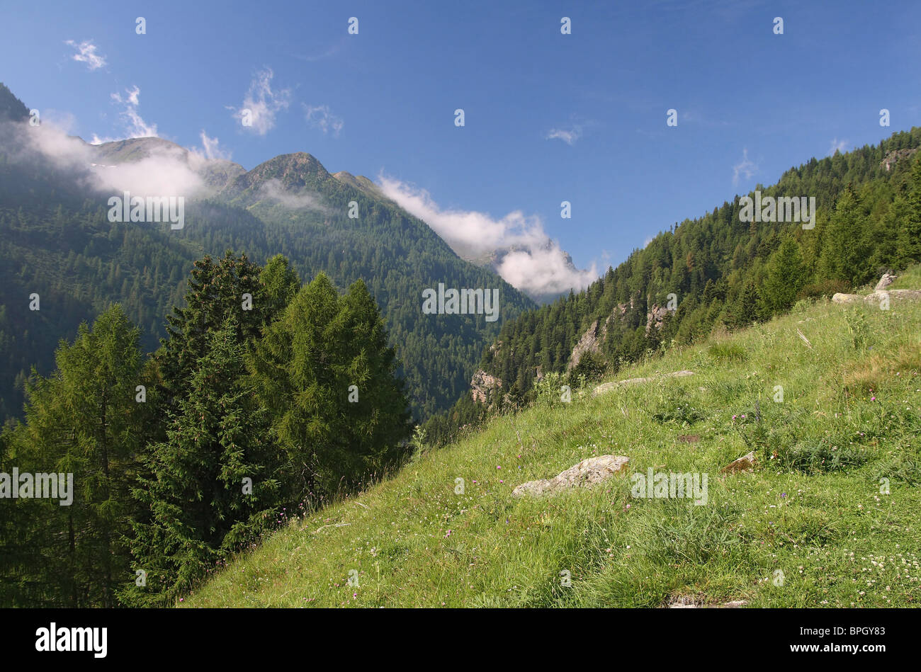 Presanella national park hi-res stock photography and images - Alamy