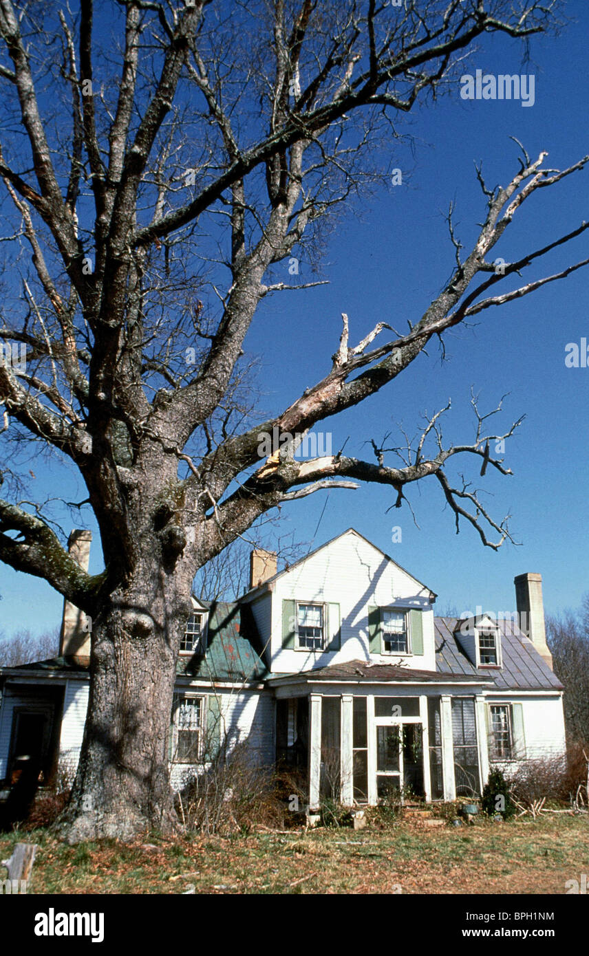 Ramshackle House High Resolution Stock Photography and Images - Alamy