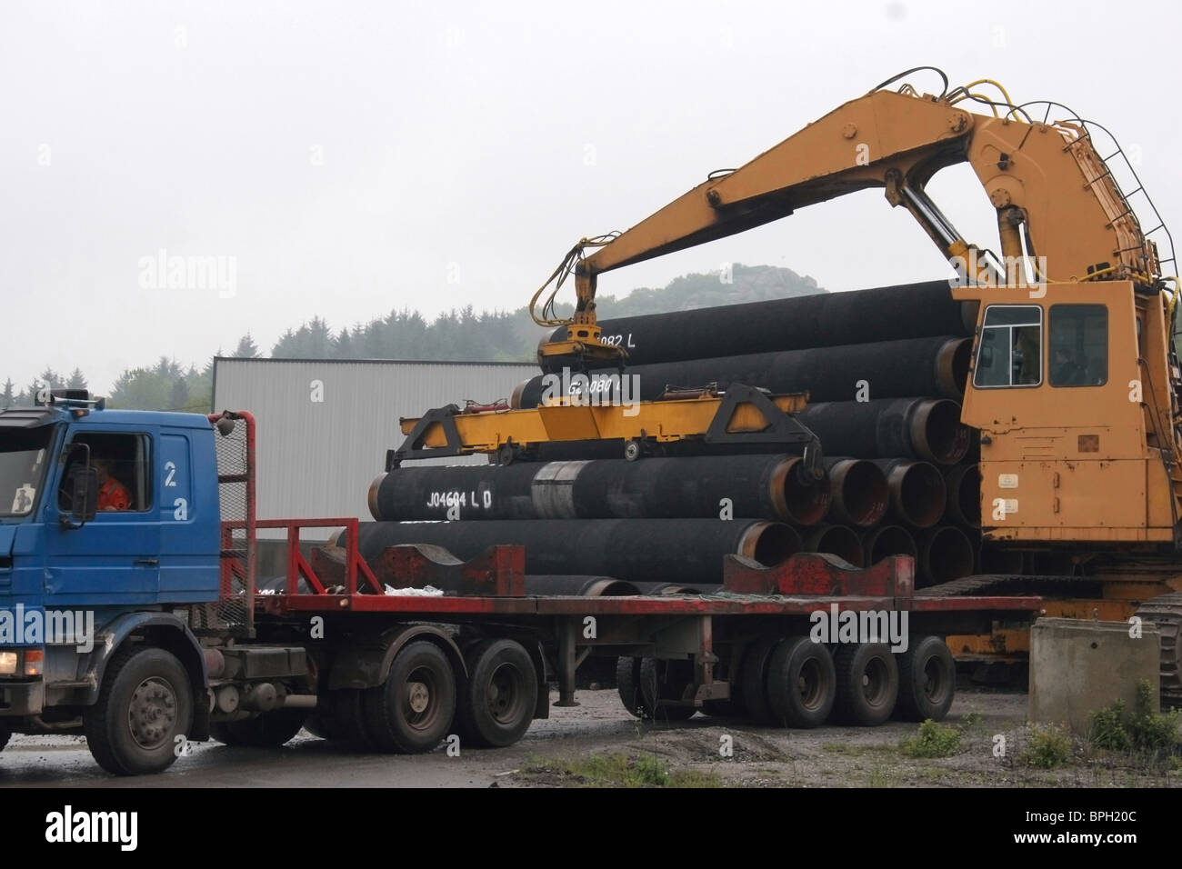 Yellow crane loading big diameter pipes in the semi-truck on the ...