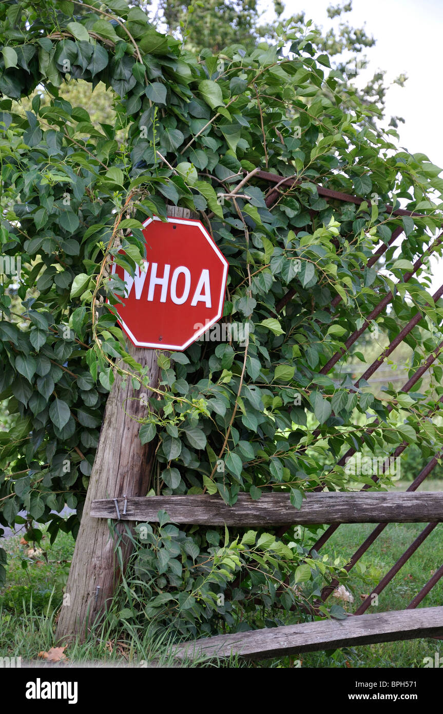 Whoa stop sign hi-res stock photography and images - Alamy