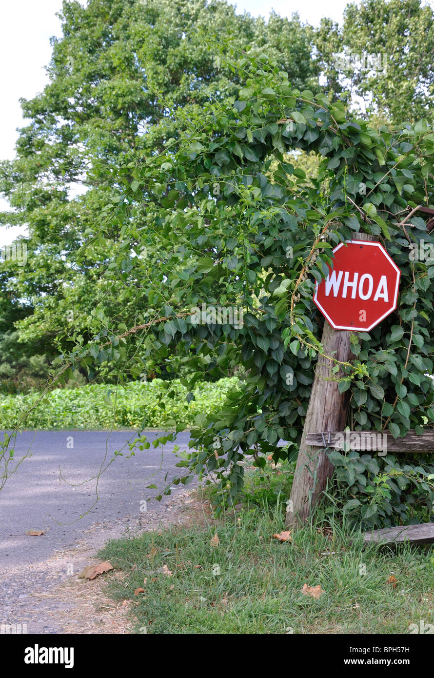 Whoa stop sign hi-res stock photography and images - Alamy