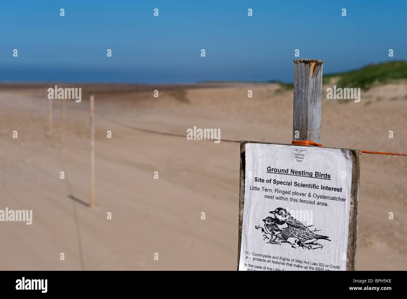 Nesting birds warning sign hi-res stock photography and images - Alamy