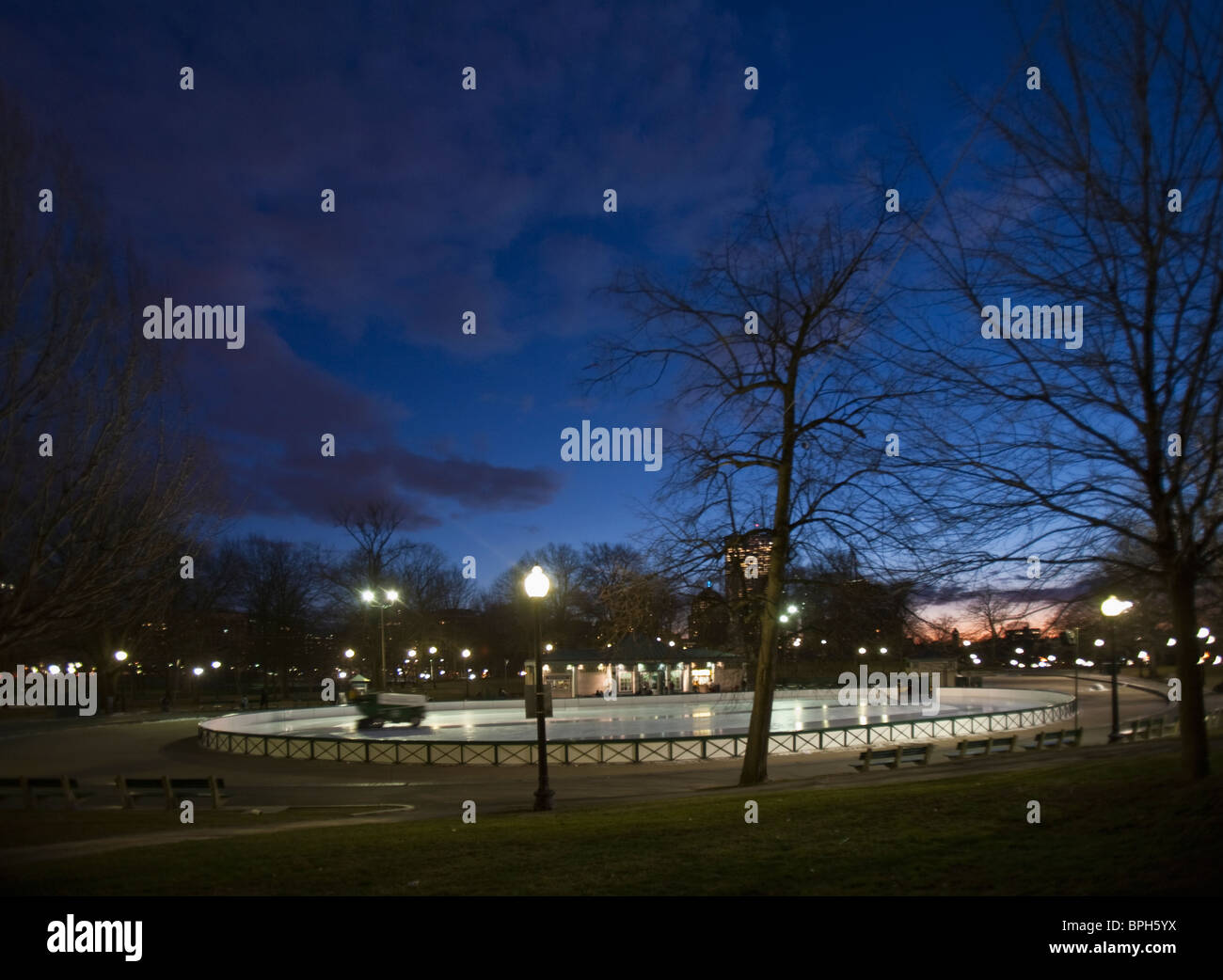 Frog Pond ice rink in a park, Boston Common, Boston, Suffolk County ...