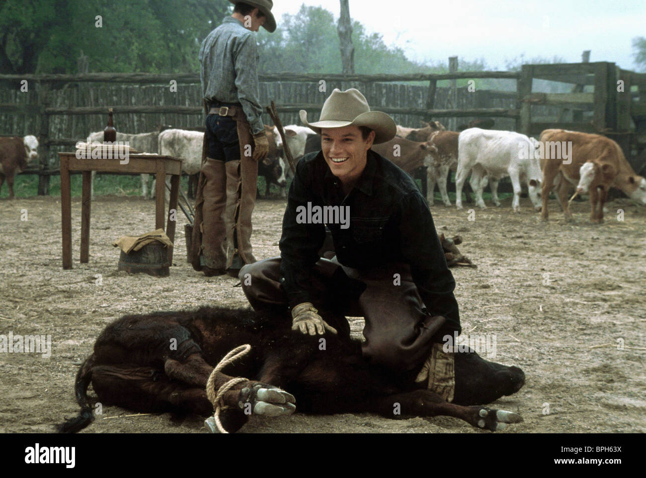 Matt Grady High Resolution Stock Photography and Images - Alamy