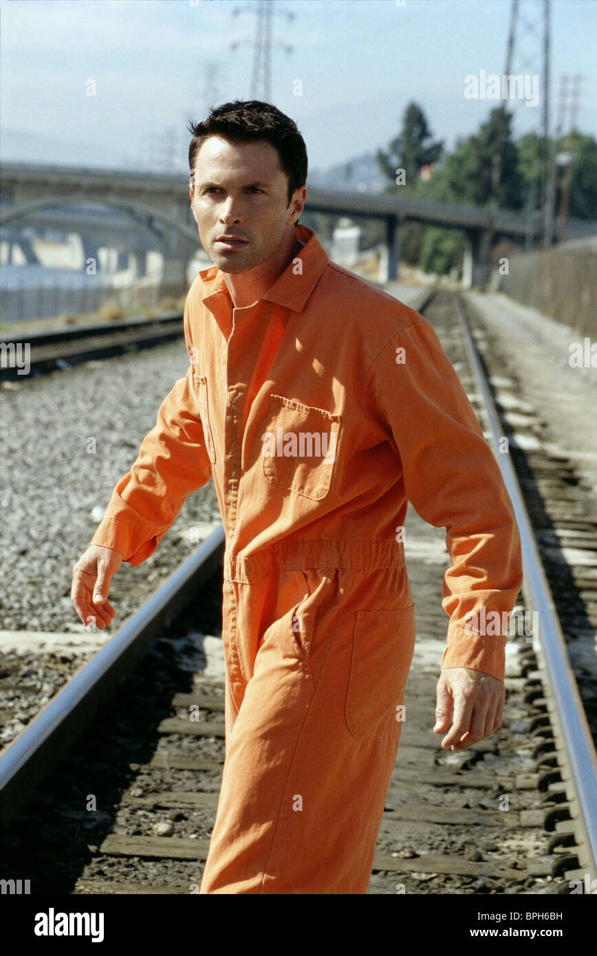Tim Daly High Resolution Stock Photography and Images - Alamy
