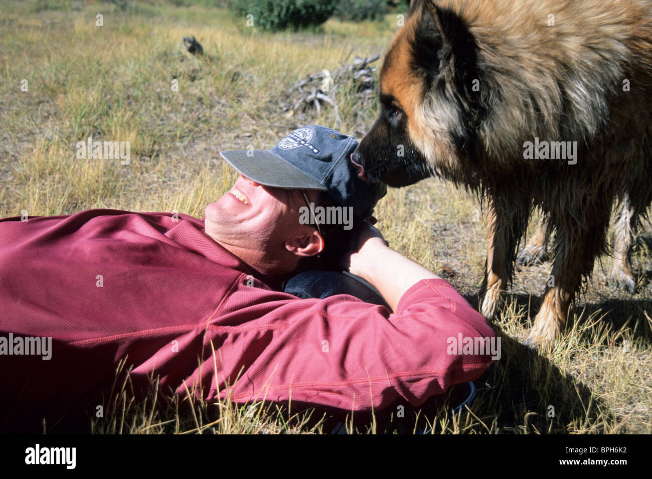 Man laying on ground and getting licked by dog Stock Photo - Alamy