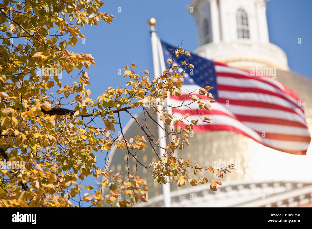 Tree and an American flag in front of a government building ...