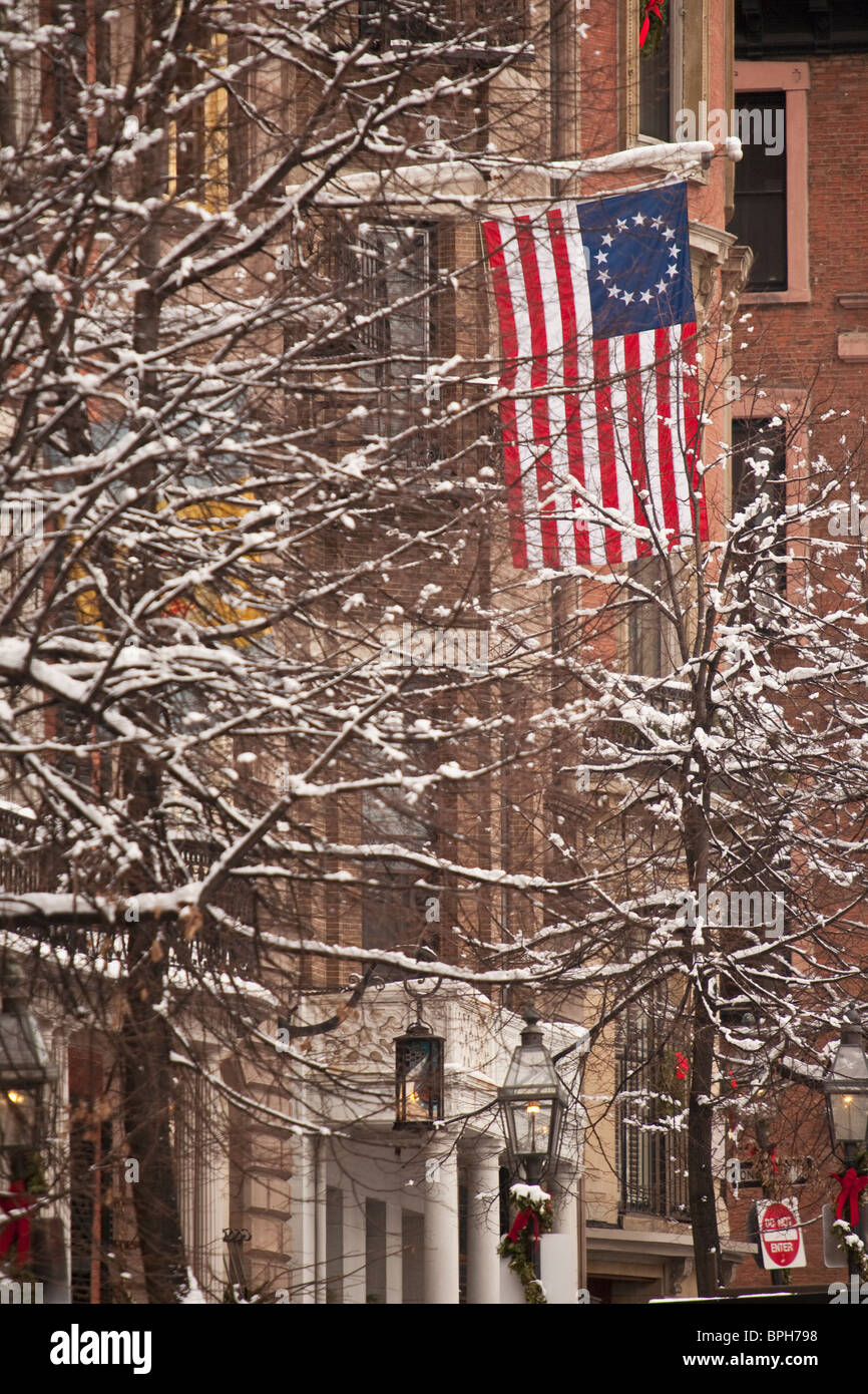 Snow covered tree with an American colonial flag in front of ...