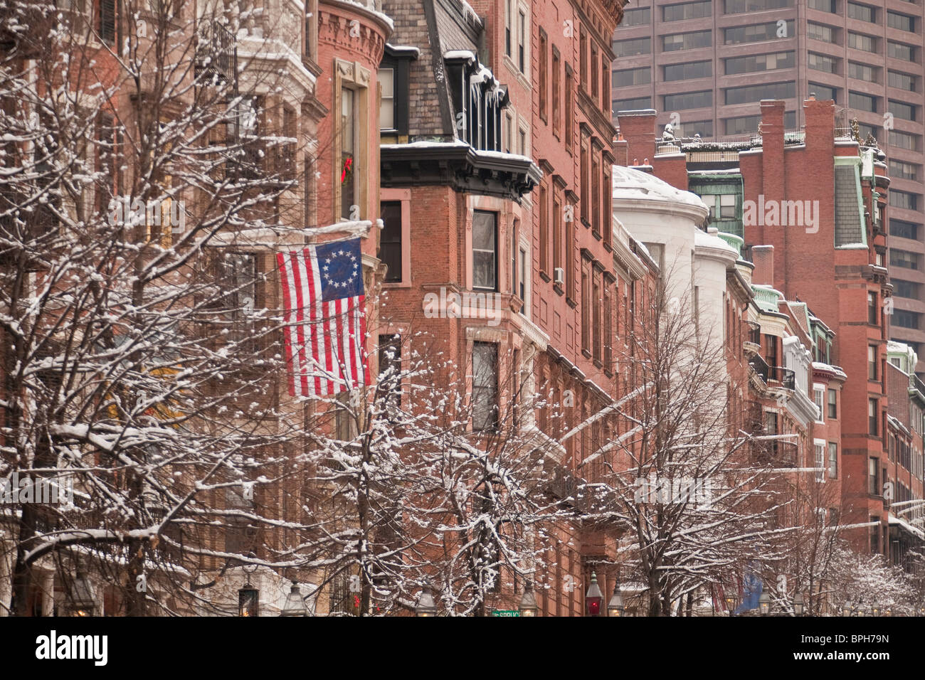 Snow covered tree with an American colonial flag in front of ...