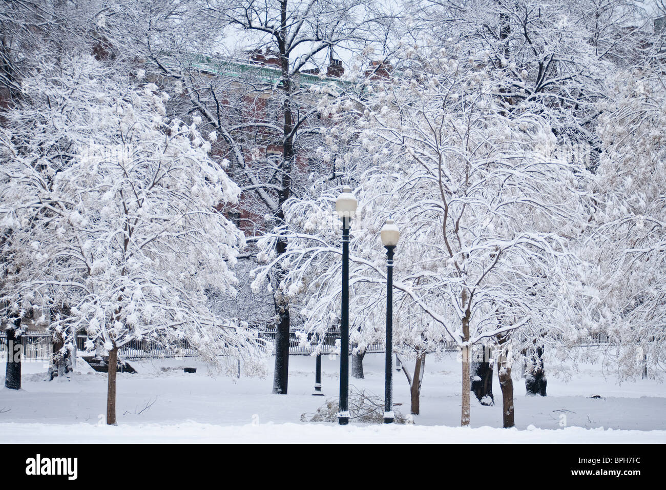 Boston common winter hi-res stock photography and images - Alamy