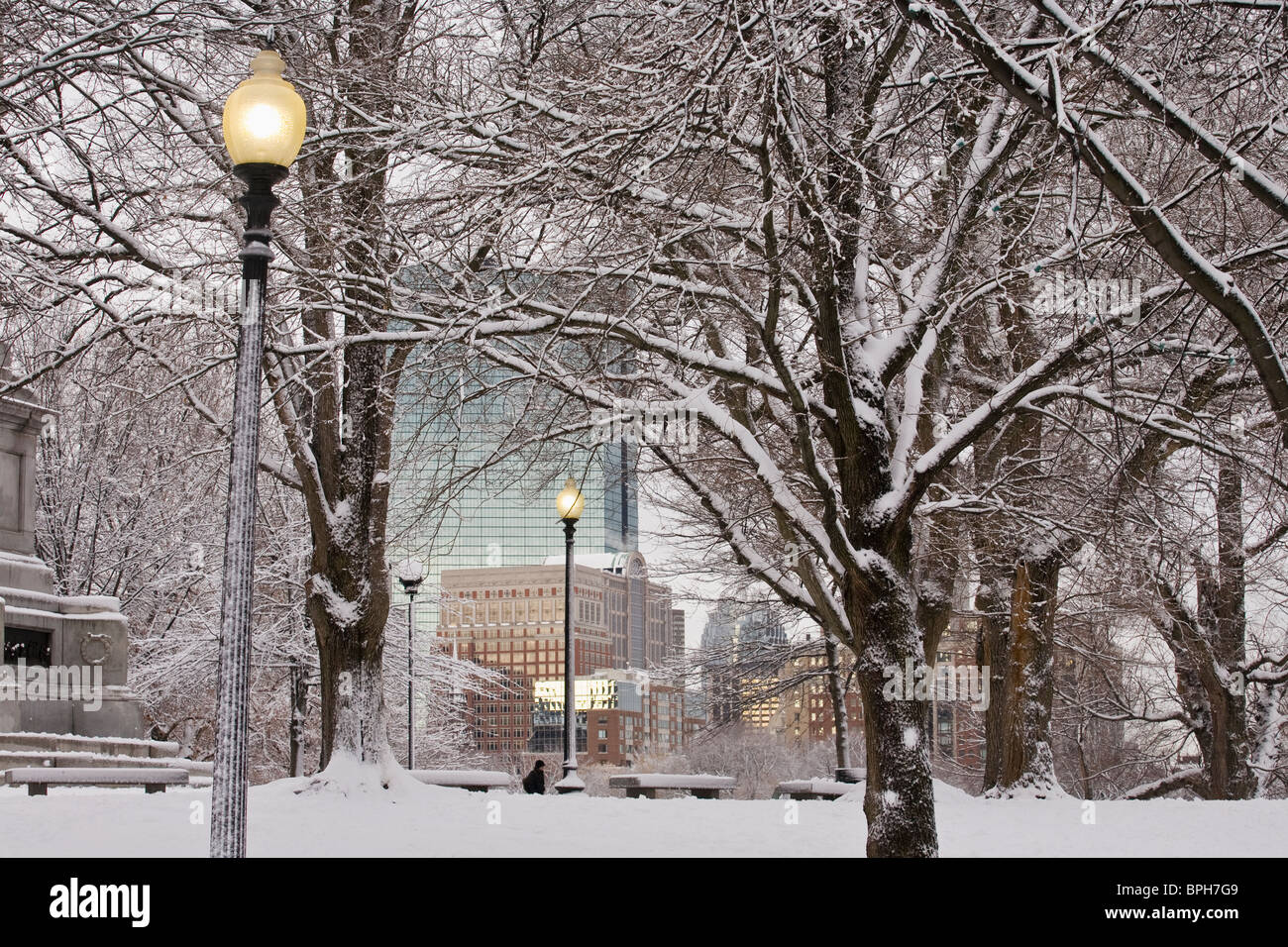 Snow covered trees with lampposts in a public park, Boston Common, back ...