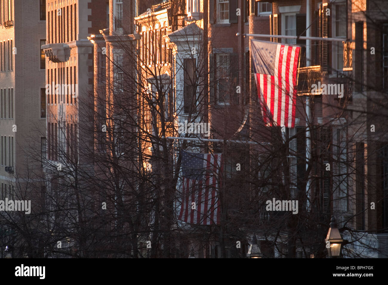 Trees with an American colonial flag in front of brownstones, Beacon ...