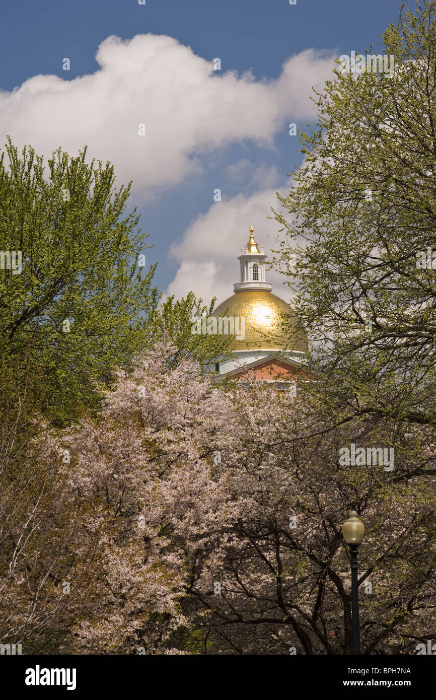 Trees in front of a government building, Massachusetts State House ...