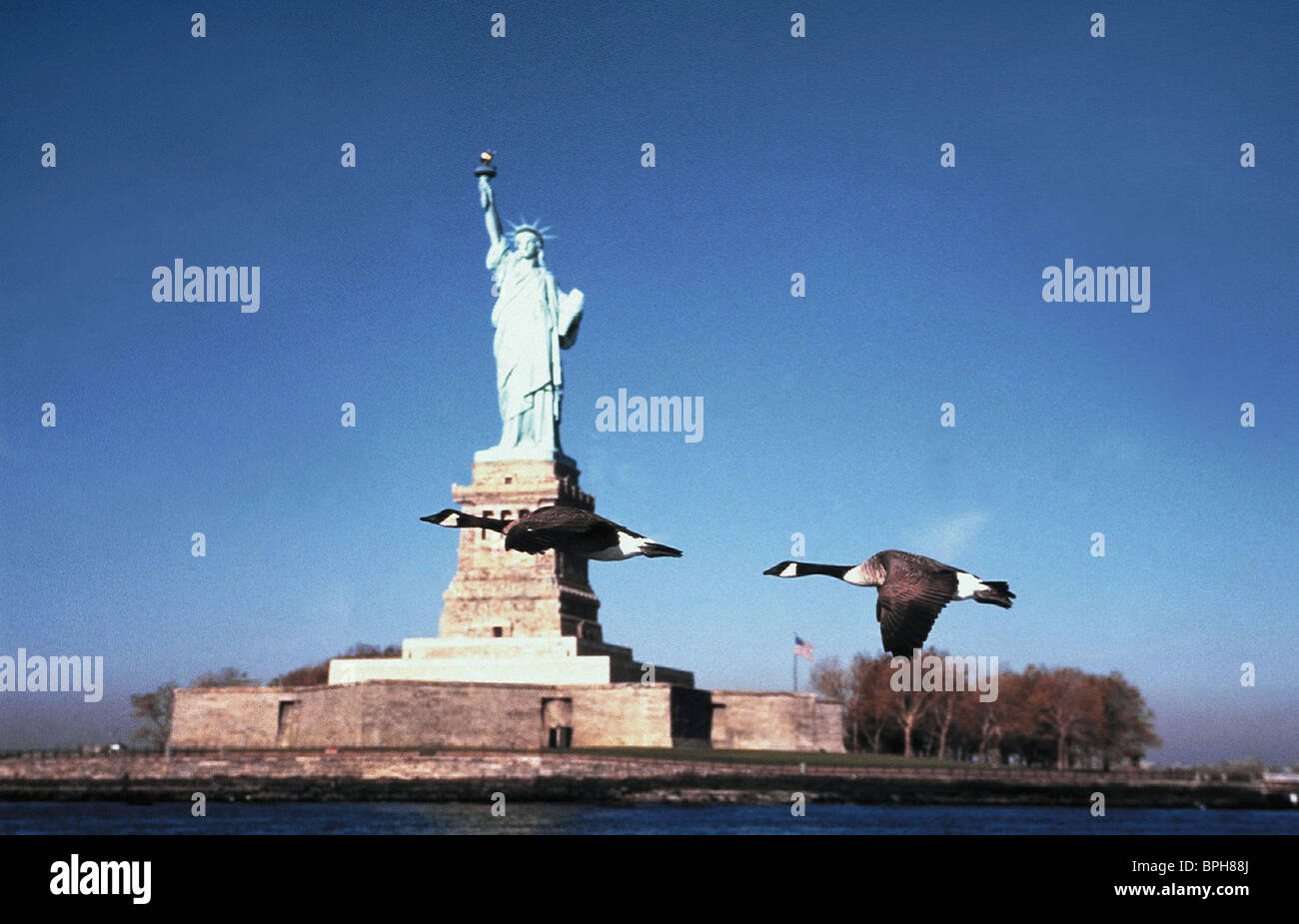 12 Geese High Resolution Stock Photography and Images - Alamy