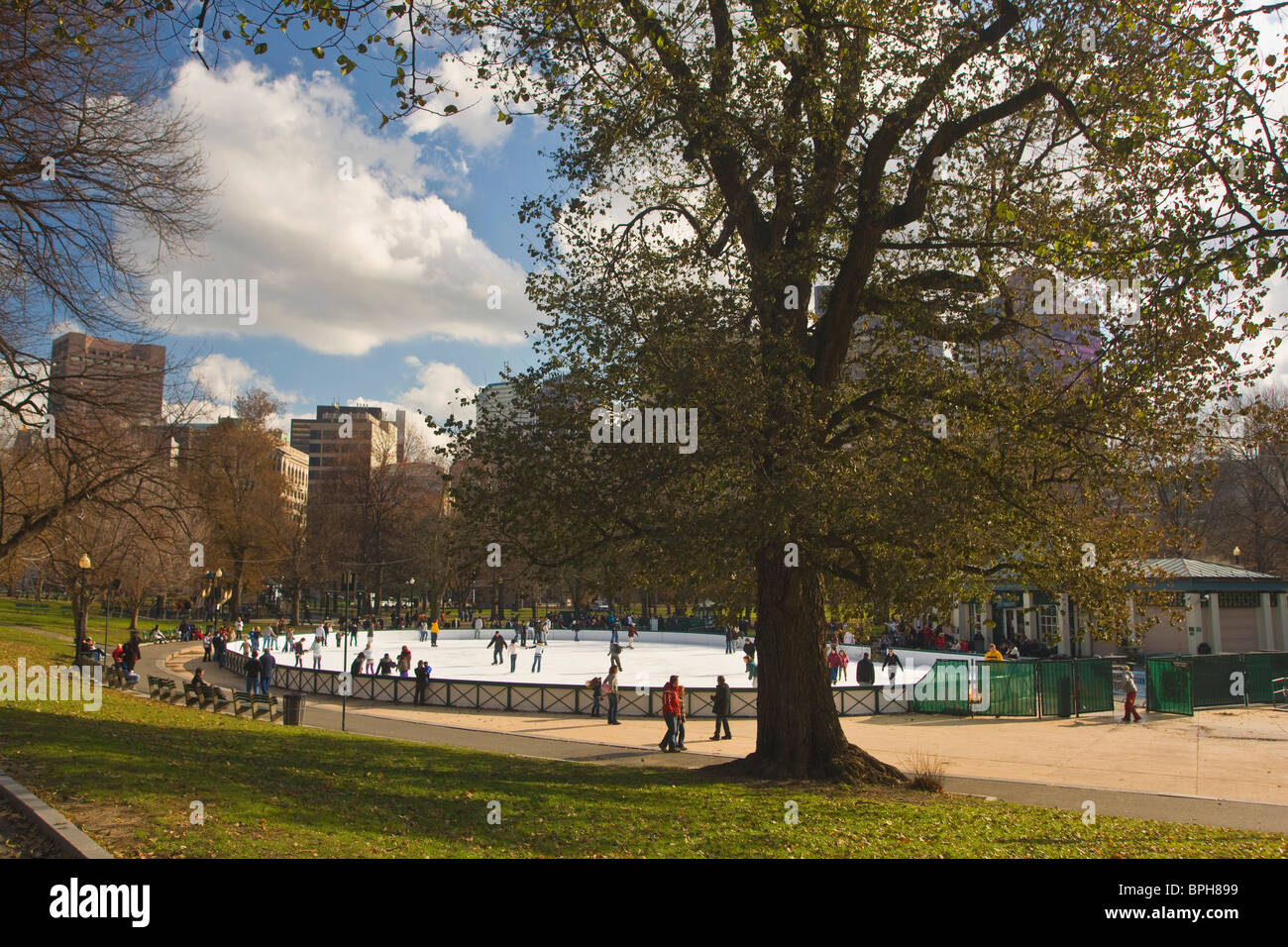 Frog pond skating hi-res stock photography and images - Alamy