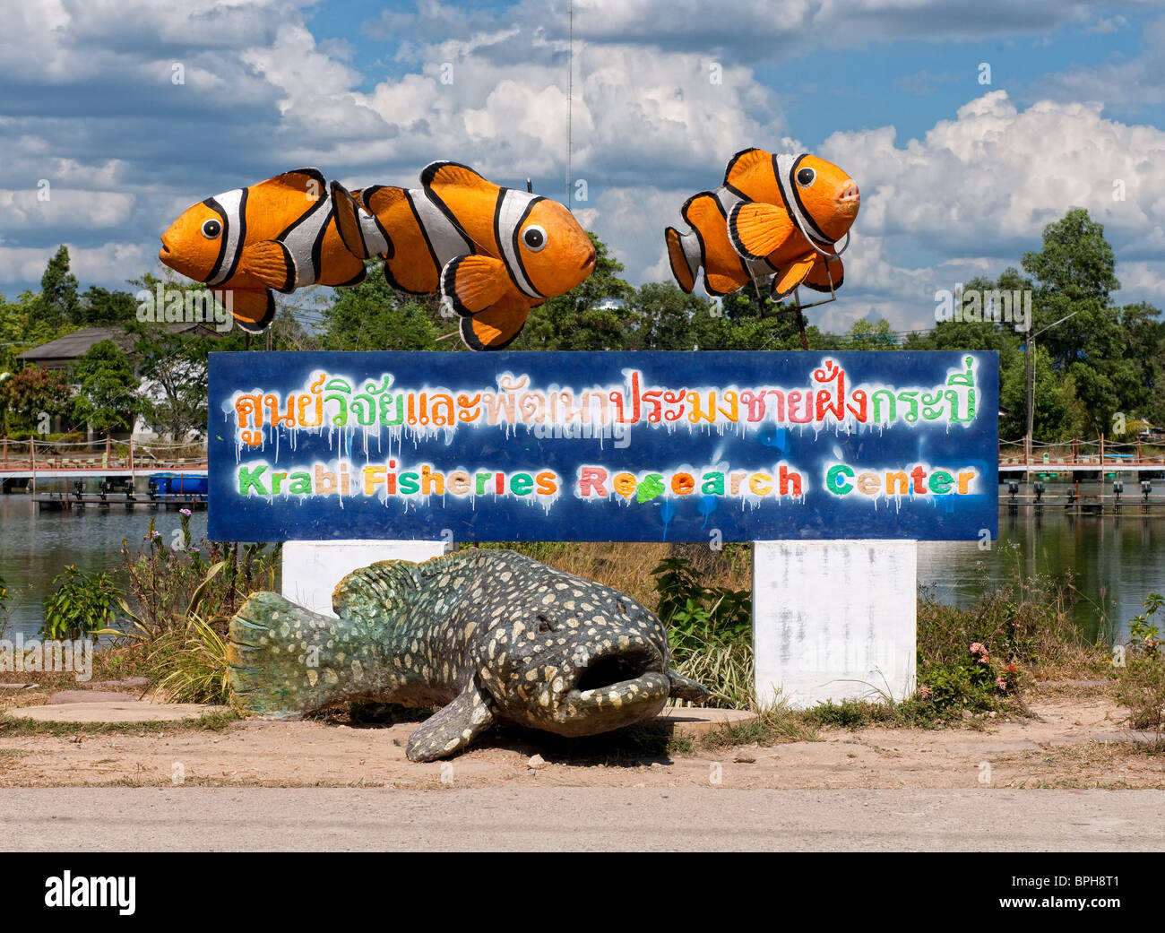 A giant Clown Fish is the symbol of Tapom Nemo tropical fish breeding ...