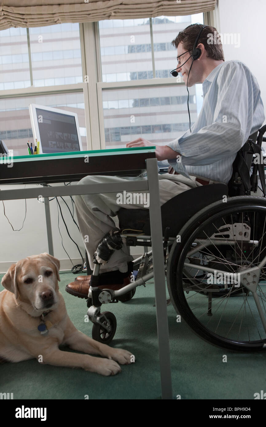 Labrador sitting at desk in office hi-res stock photography and images ...