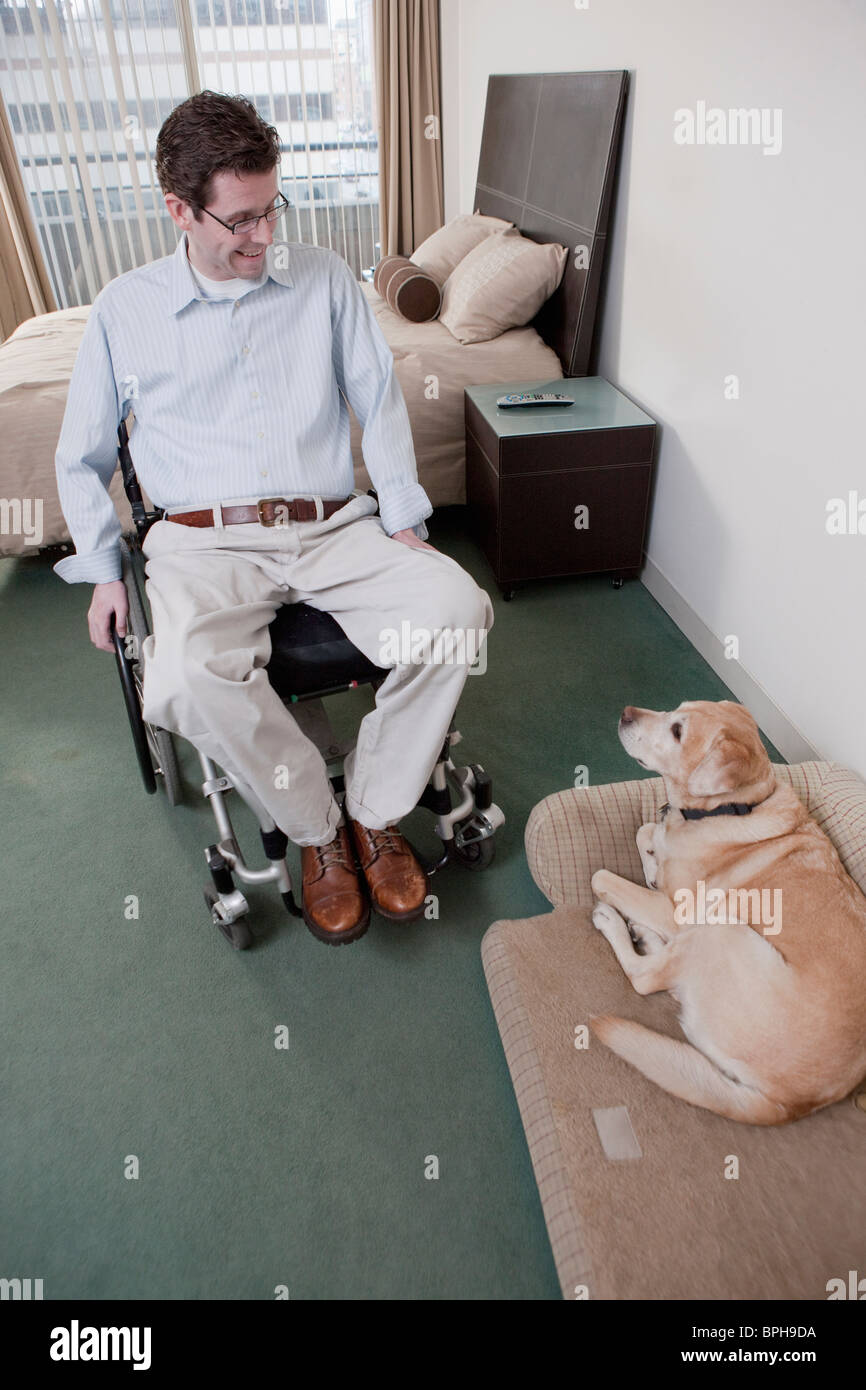 Man in a wheelchair with a service dog Stock Photo - Alamy