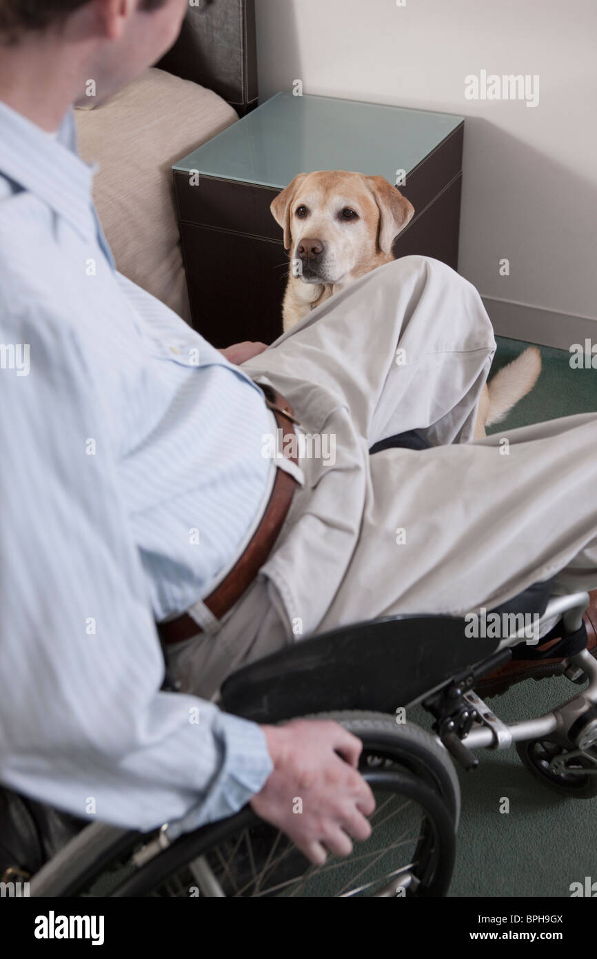 Man in a wheelchair with a service dog in the bedroom Stock Photo - Alamy