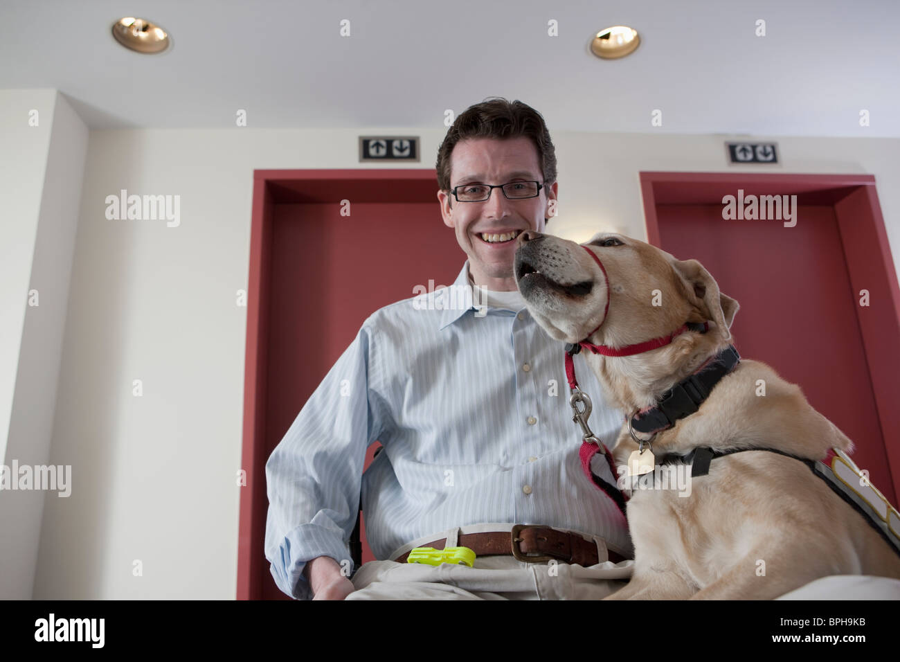Man playing with a service dog Stock Photo - Alamy