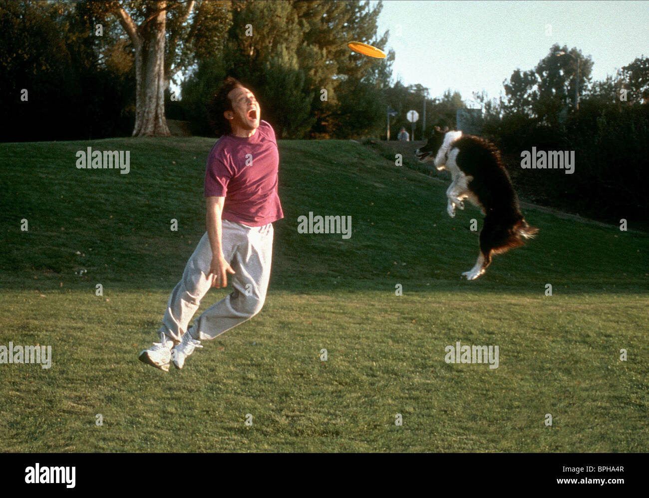The Animal Rob Schneider High Resolution Stock Photography and Images ...