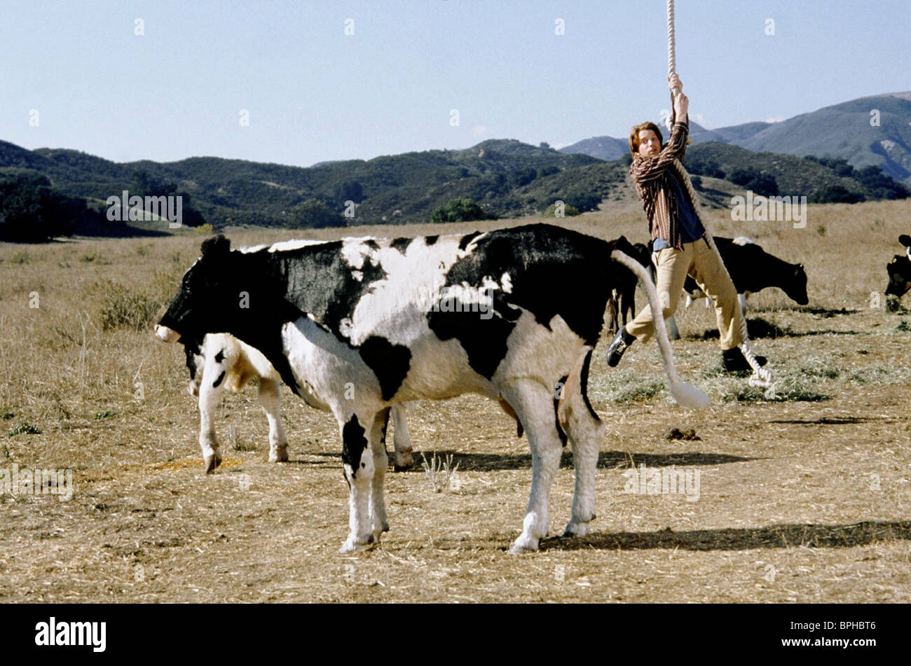 Rat Race Movie High Resolution Stock Photography and Images - Alamy