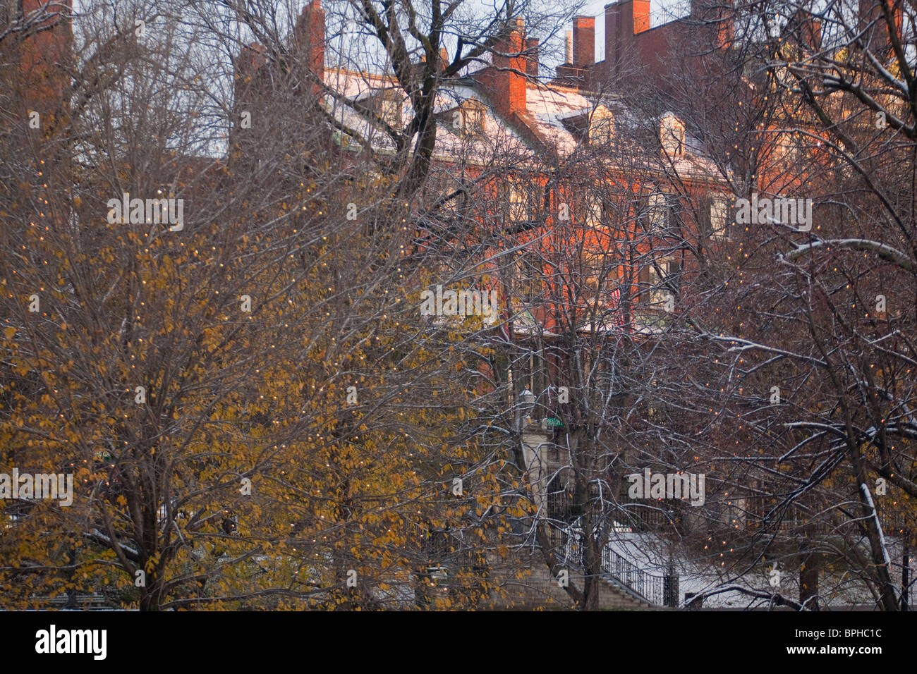 Trees with a city in the background, Beacon Street, Beacon Hill, Boston ...