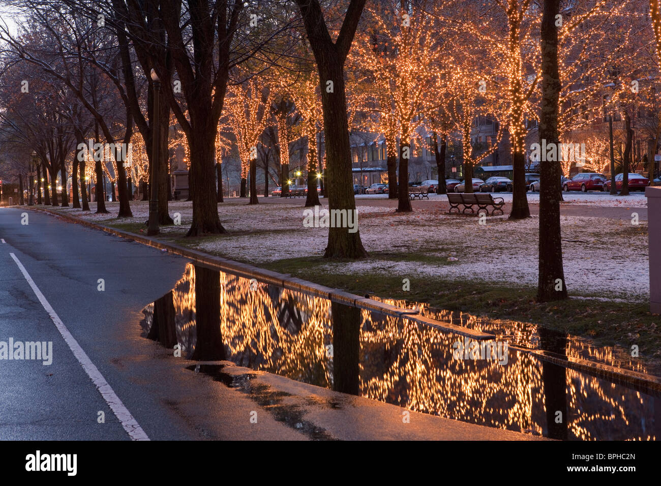 Christmas decoration, Commonwealth Avenue Mall, Boston, Suffolk County ...